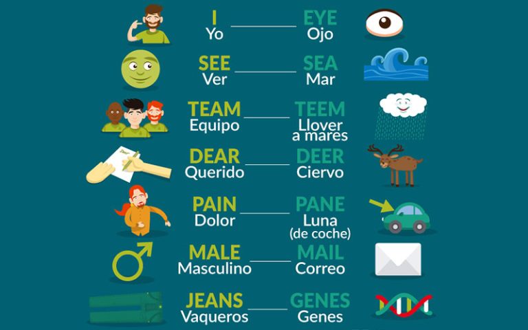 Las palabras homónimas, homógrafas y homófonas en inglés