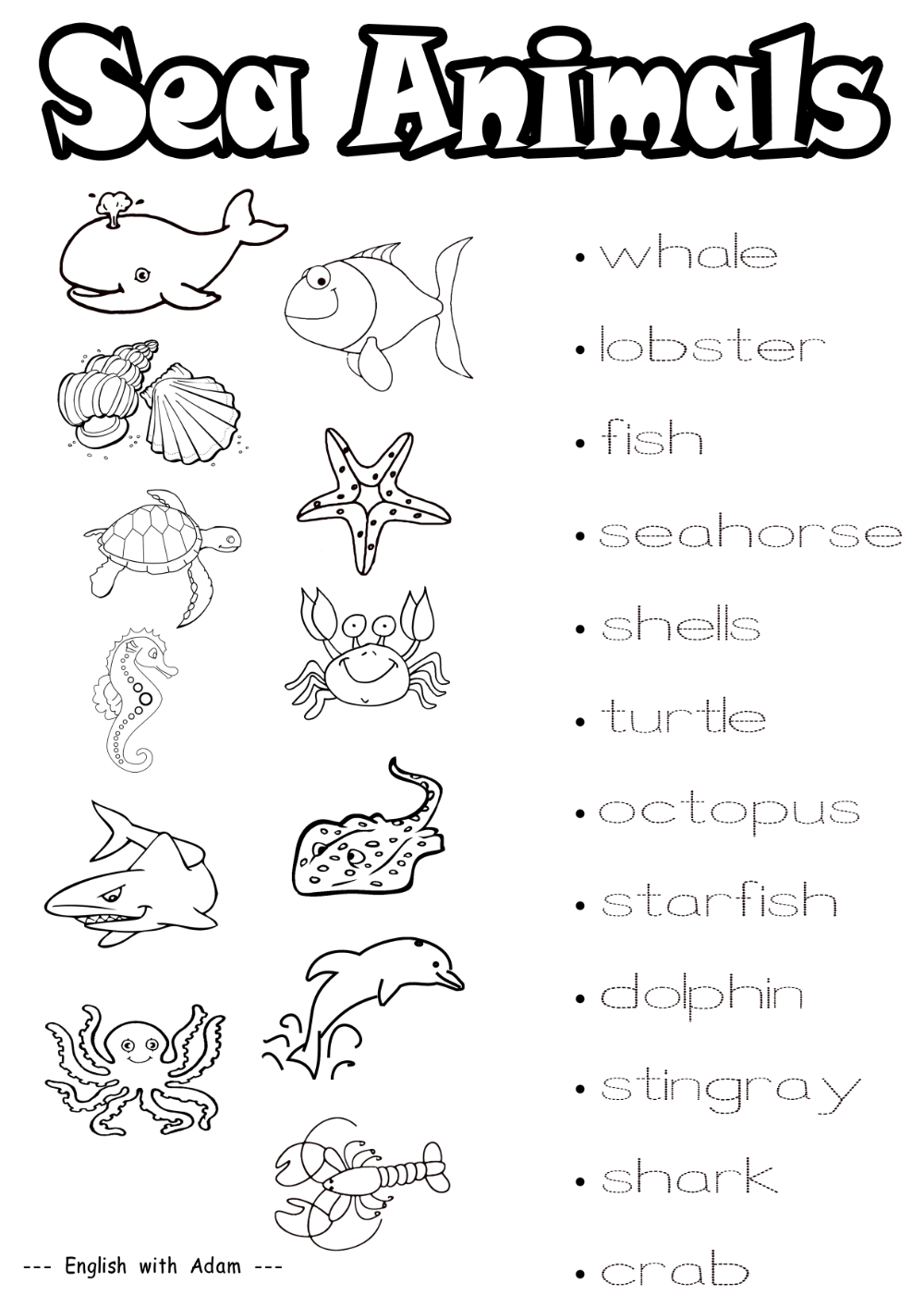 Aprende los animales marinos en inglés - English4kids